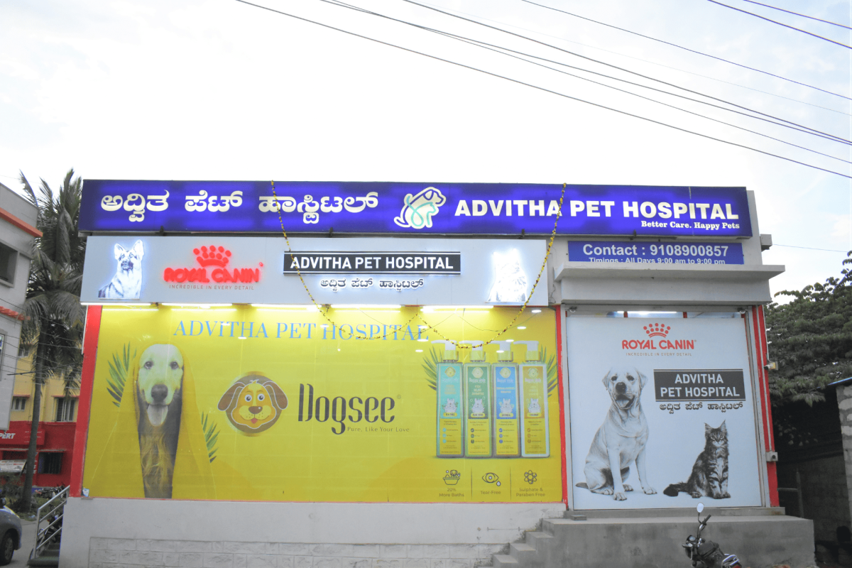 Pet hospital | Pet Clinic | Dog Hospital | Advitha Pet Hospital | About us